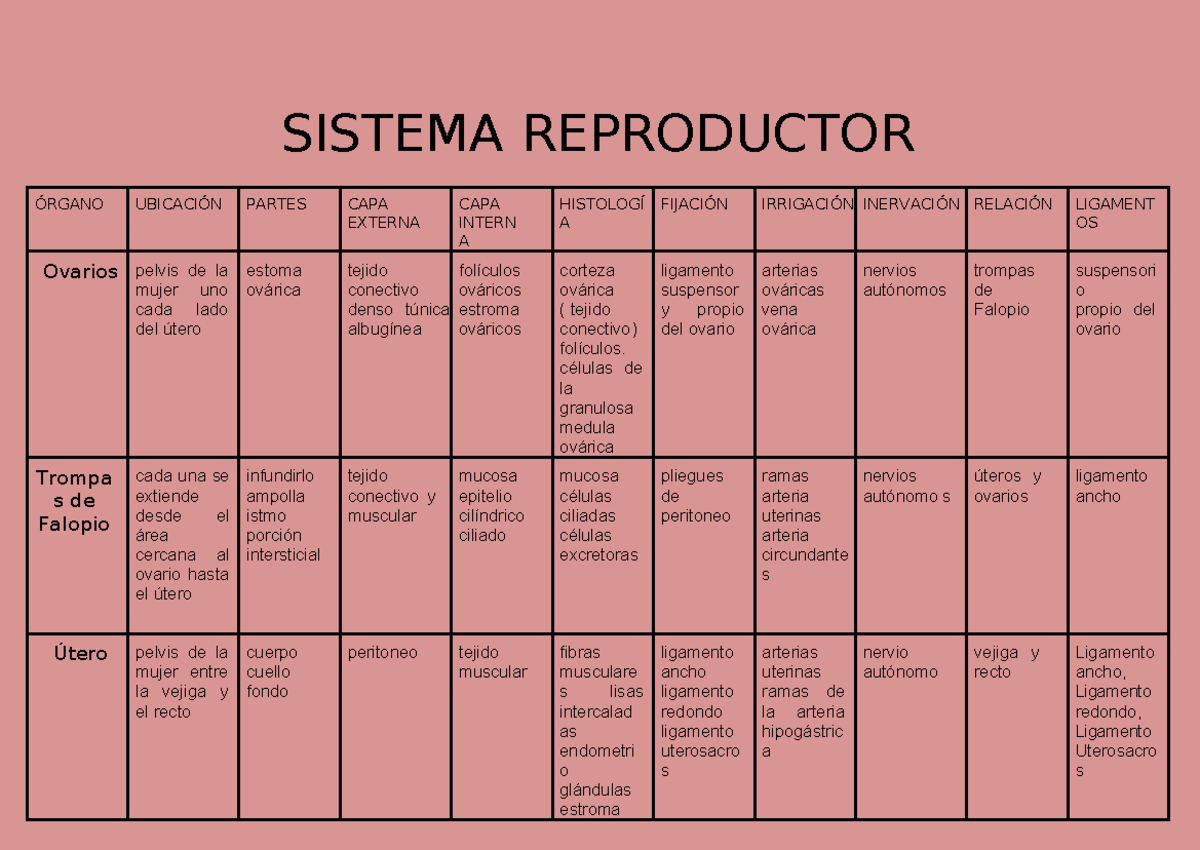 Cuadro Aparato Reproductor - SISTEMA REPRODUCTOR ÓRGANO UBICACIÓN ...
