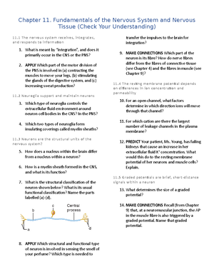Chapter 6. Chapter Quiz (Pearson) - Chapter 6. Bones and Skeletal ...