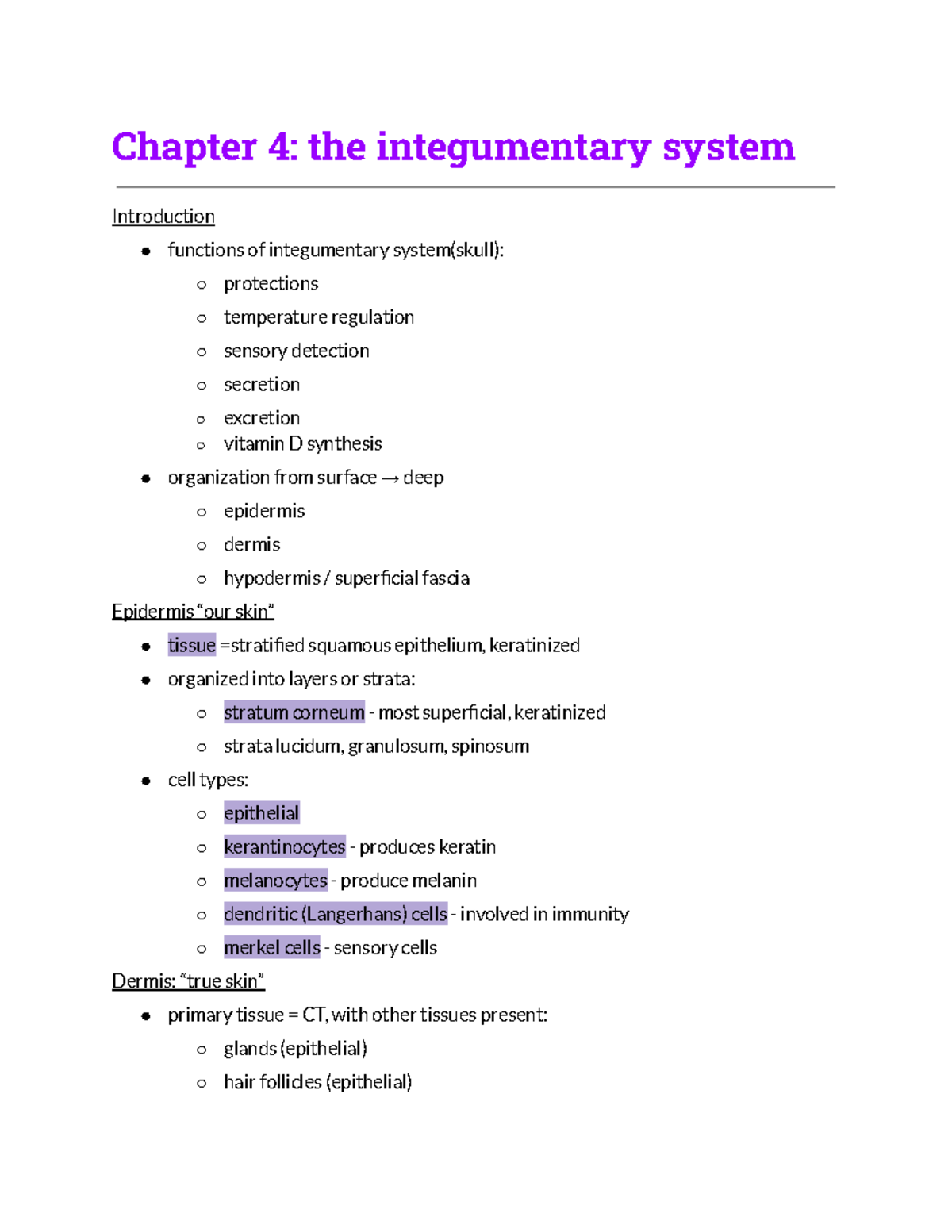 Chapter 4 the integumentary system - Chapter 4: the integumentary ...