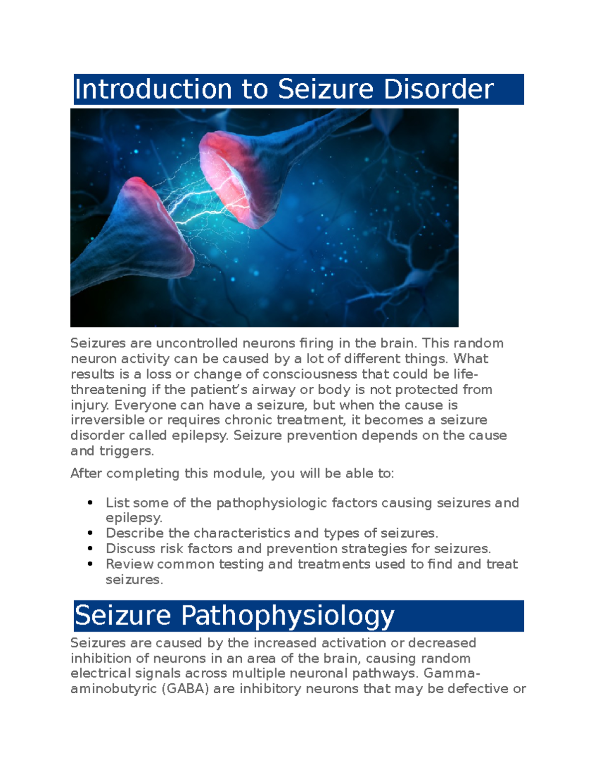 NR 283 - Edapt Unit 3 Seizure Disorders - Introduction to Seizure ...