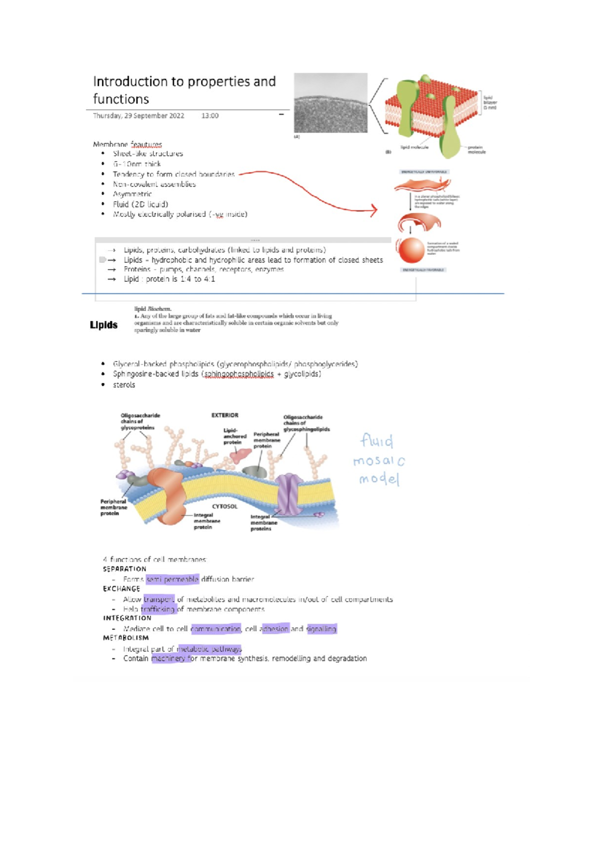 Intro to membrane properties and functions - BIOL21141 - Studocu