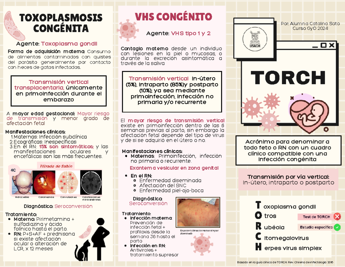 Torch - Tríptico - Transmisión por vía vertical: In-útero, intraparto o ...
