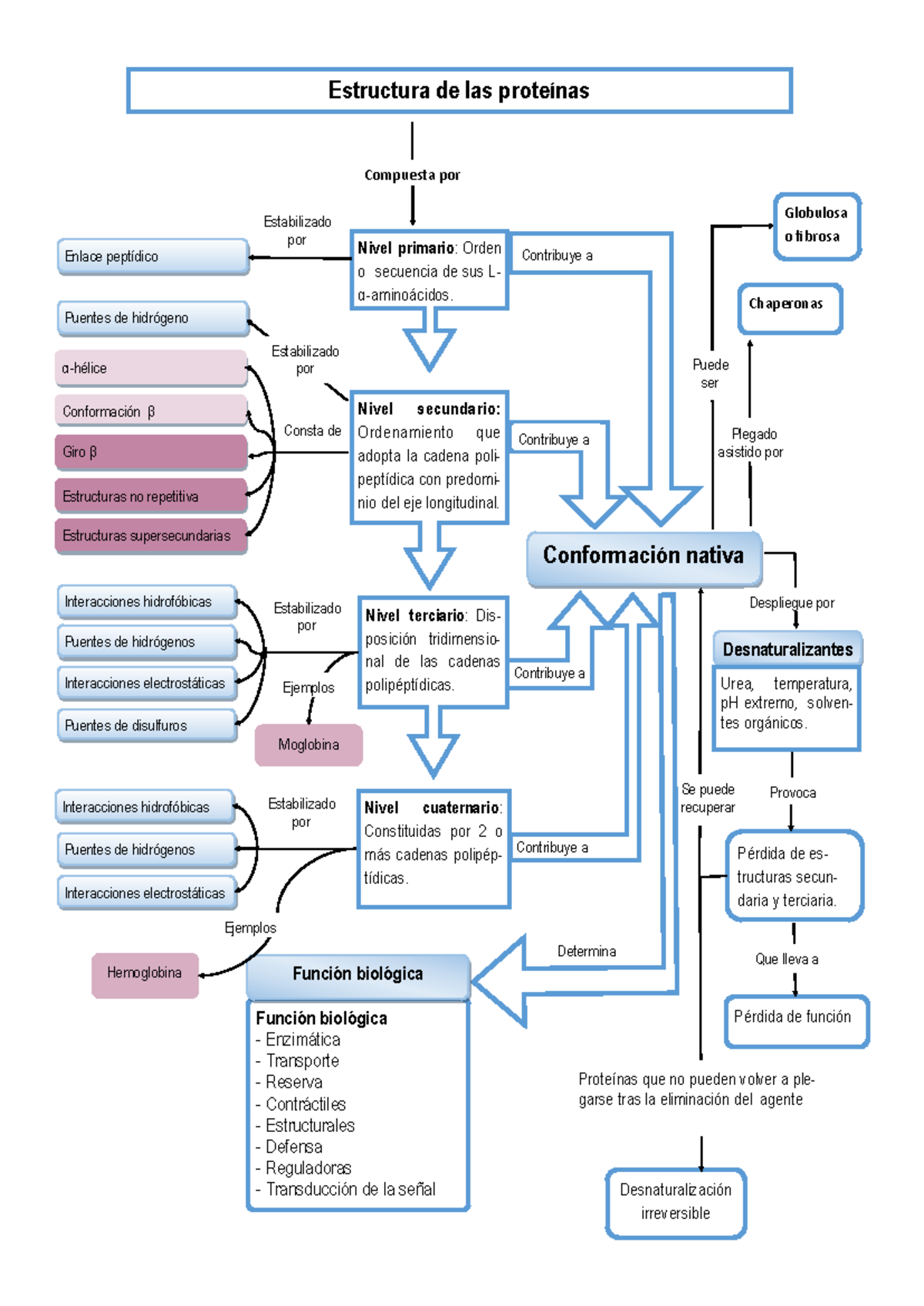 Mapa conceptual de proteínas 1 - Estructura de las proteínas Compuesta por Nivel primario: Orden ...
