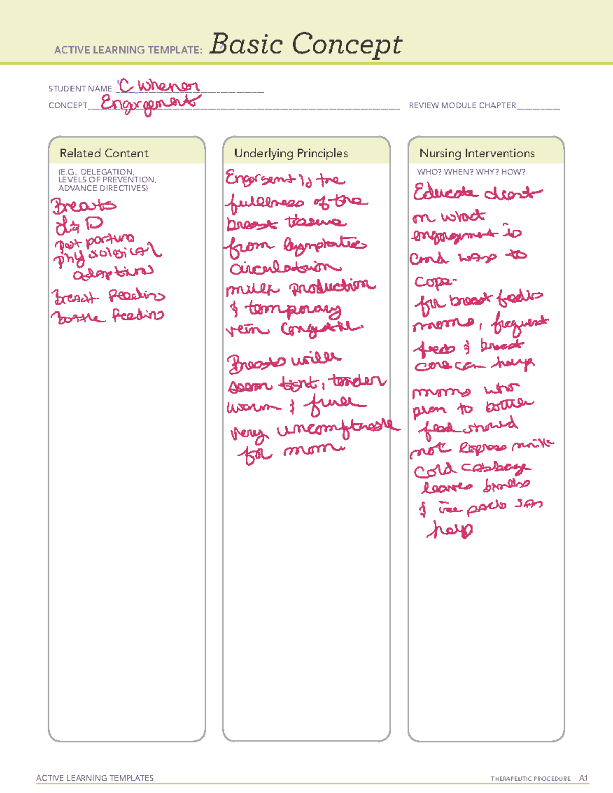 Engorgement ' - Obstetricians - ACTIVE LEARNING TEMPLATES THERAPEUTIC ...