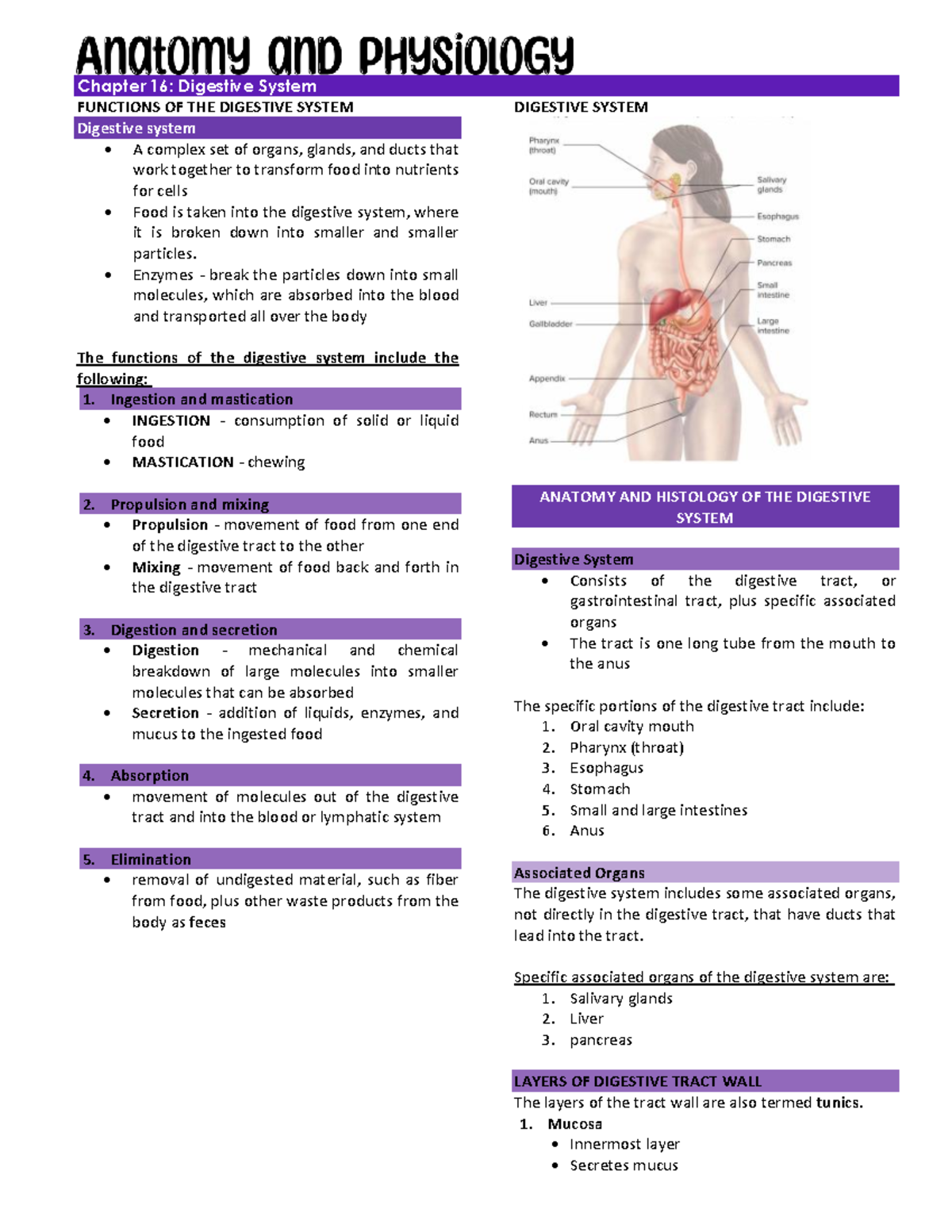 Anaphy-digestive - Digestive system Physiology by Doc Ayeen Avelino ...