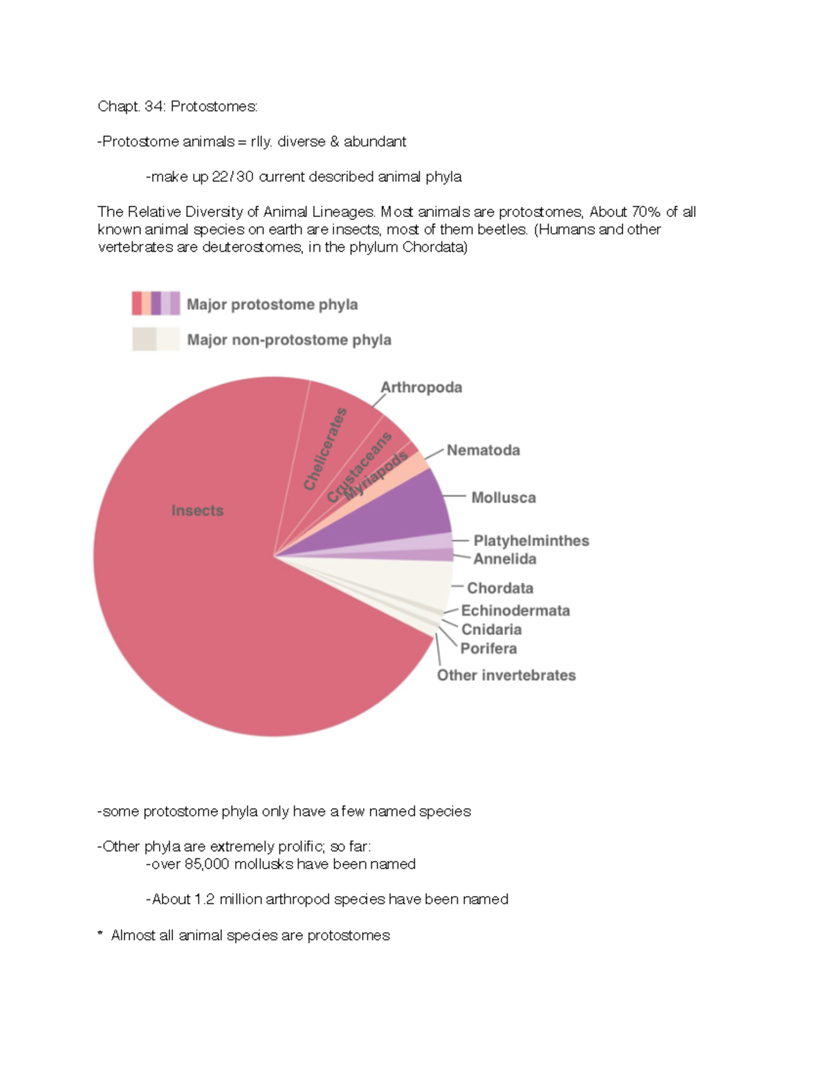 Professor Daniel Ballhorn, BI 252, Protostomes - Chapt. 34: Protostomes ...