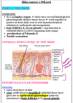 Level Control lab report - EXPERIMENT 5B: PROCESS CONTROL – LEVEL ...