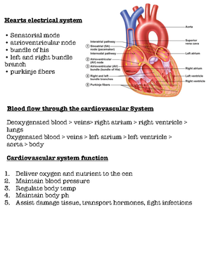 Endocrine System Lab Summer 2017 - Ivy Tech Community College Name