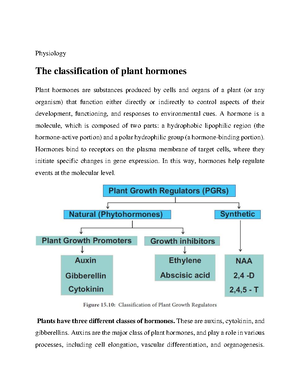 LAB 7 POST-LAB Assignment - Laboratory 7: Photosynthesis and ...