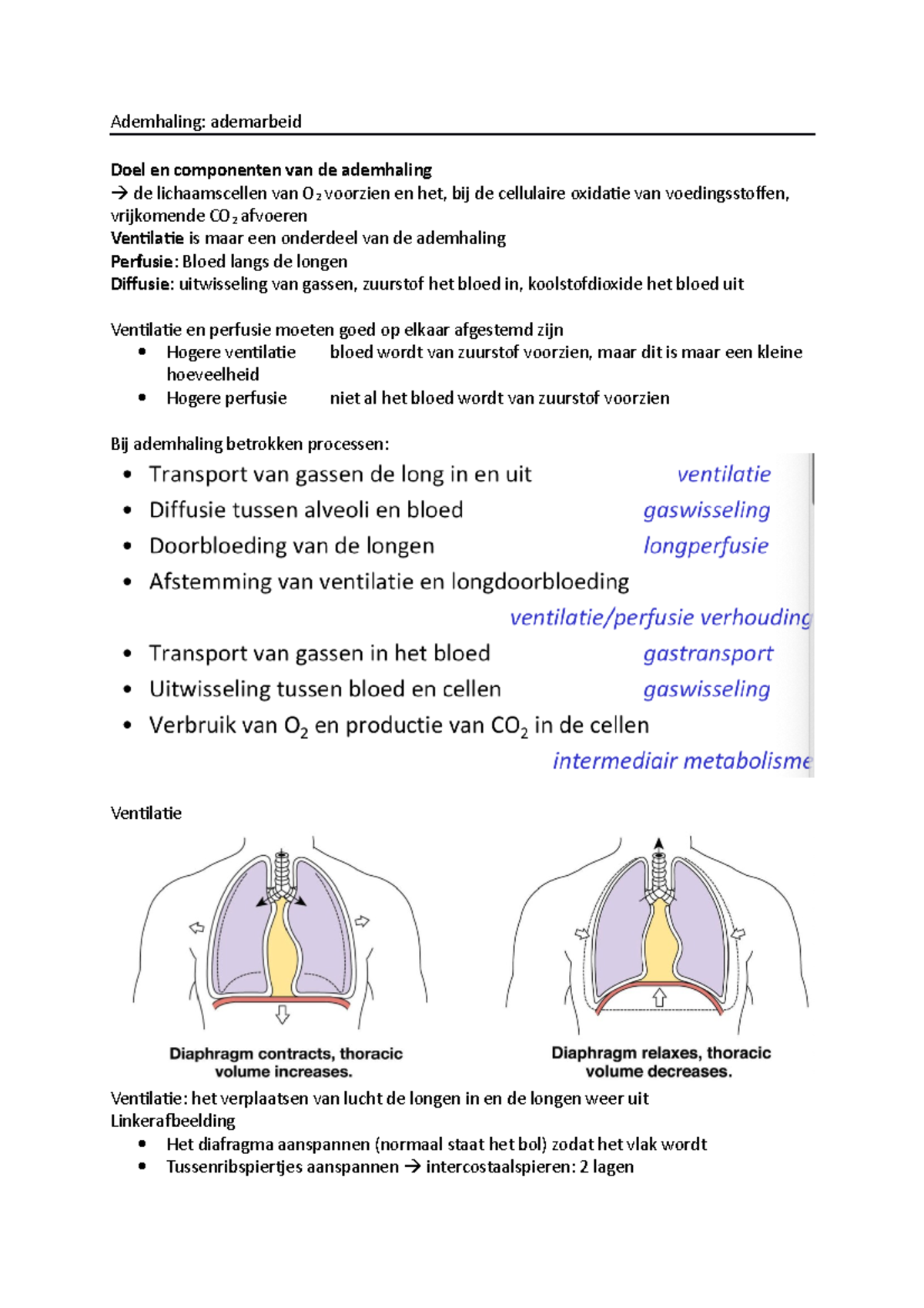 Ademhaling- ademarbeid - Ademhaling: ademarbeid Doel en componenten van ...