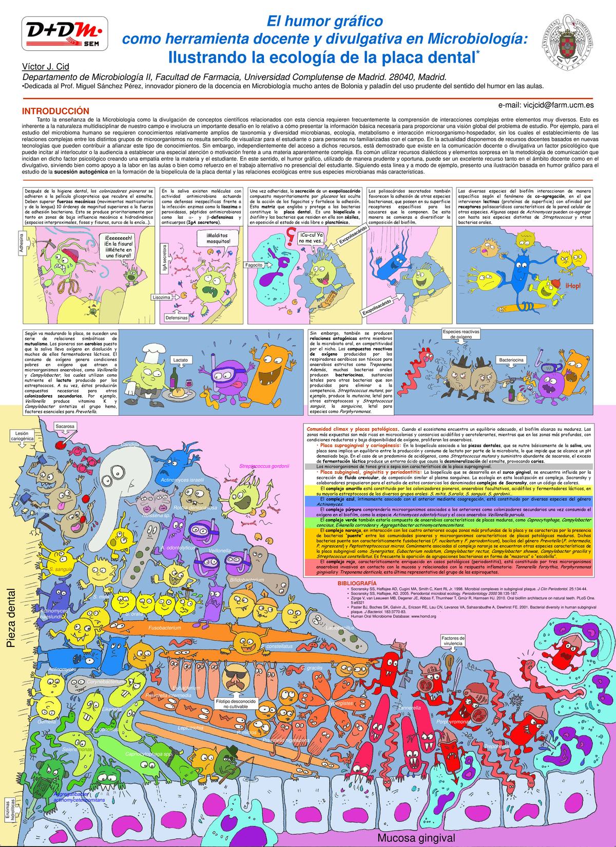 Piramide de Socransky - BIBLIOGRAFÍA SocranskySS, HaffajeeAD, CuginiMA ...