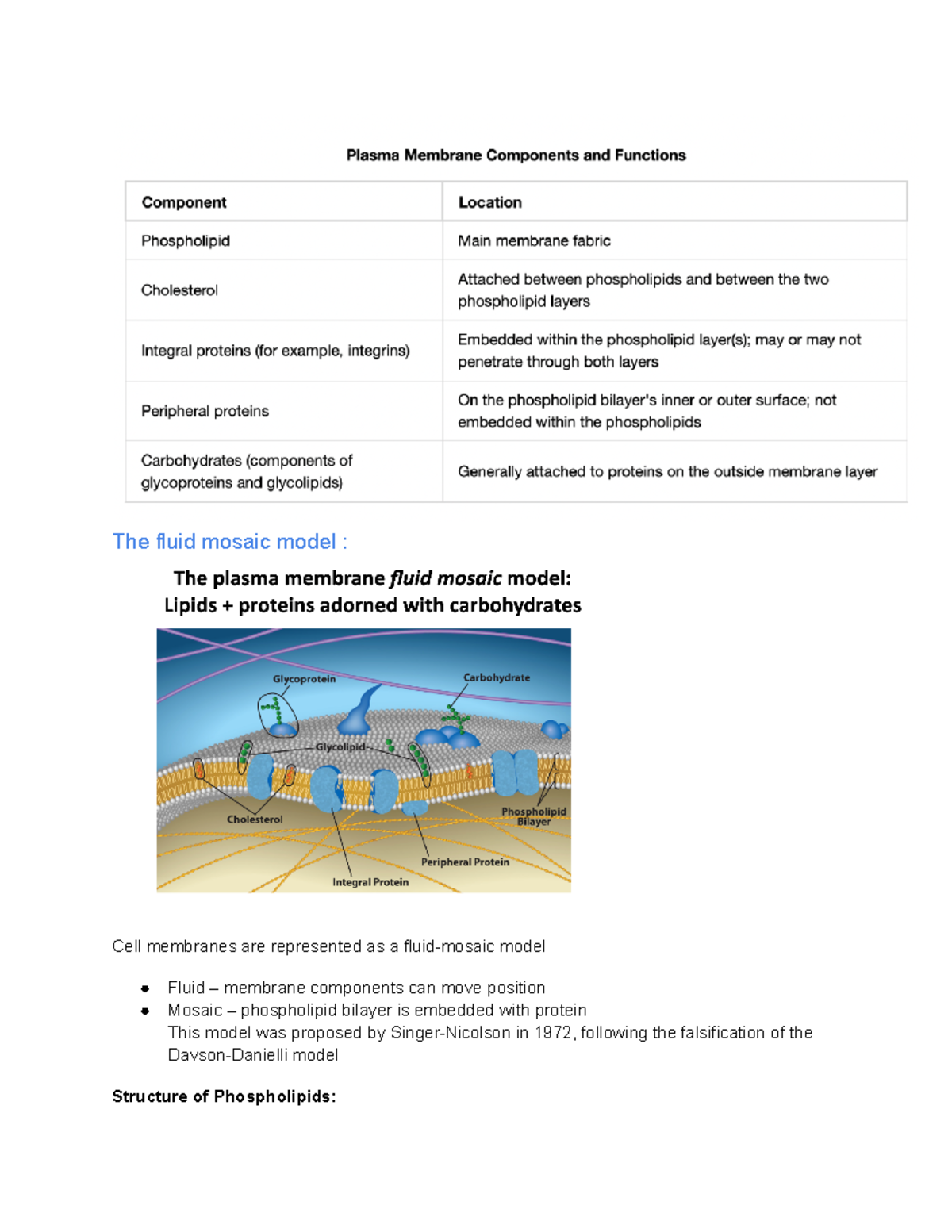 Biol 115 transport - bill notes - The fluid mosaic model : Cell ...
