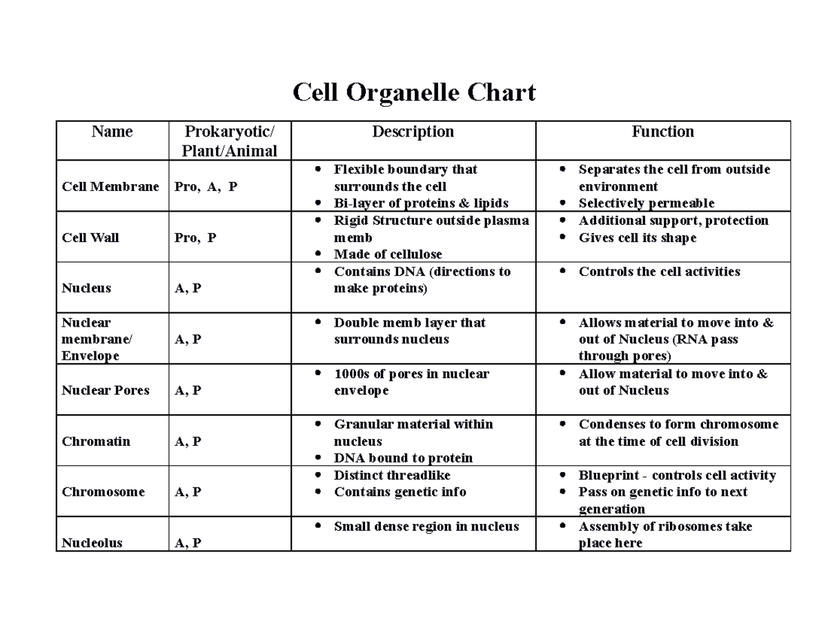 Cell Organelle Chart Key 2011 - Cell Organelle Chart Name Prokaryotic/ Plant/Animal Description ...