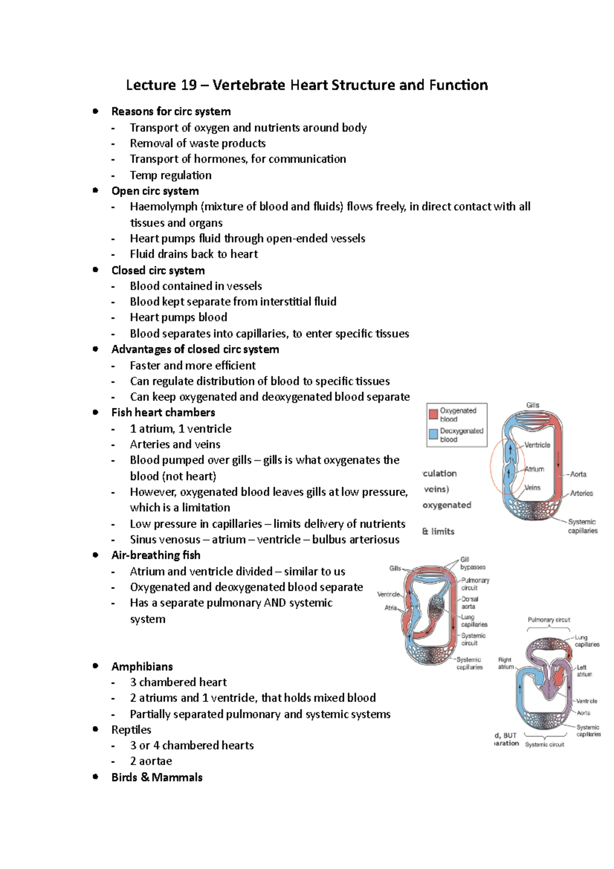 BIOL-Lauren Salo's notes on circulatory system, respiration and ...