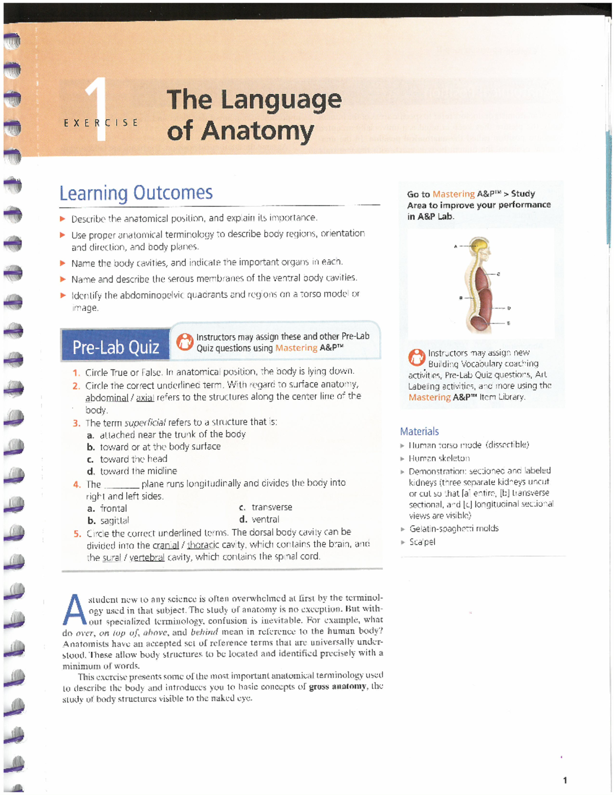Anat & Phys Chapter 1 - 987654 - Studocu