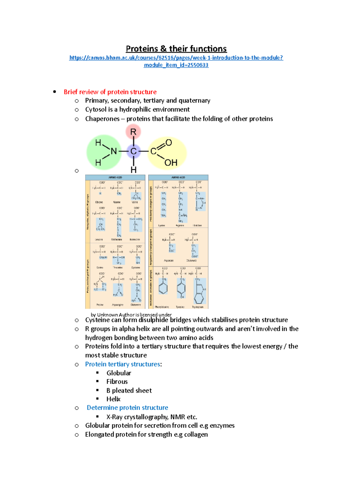 Proteins and their functions - Proteins & their functions - Studocu