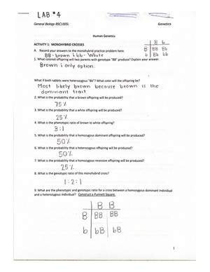 LAB #11 Organization of the Human Body - BSC 1005L - Studocu
