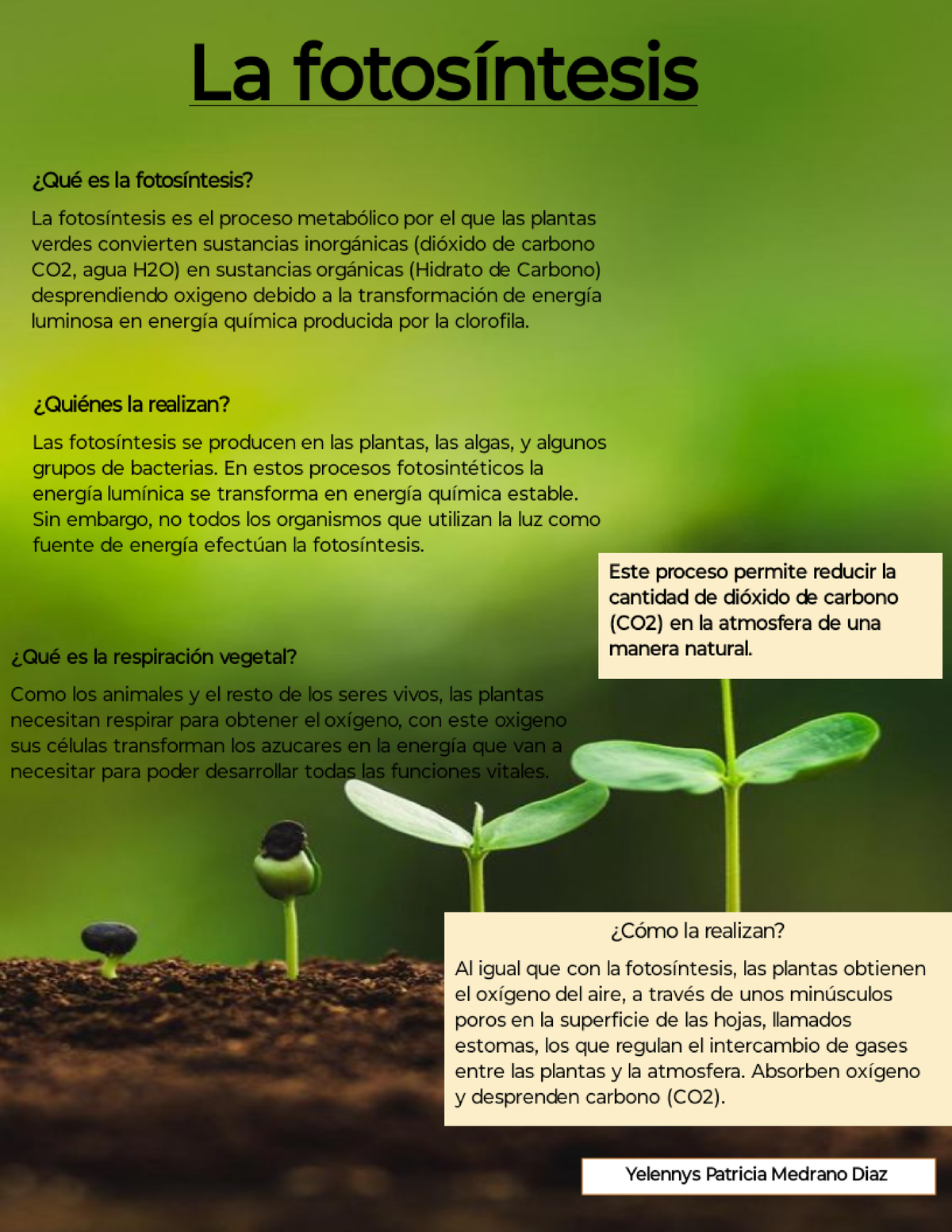 La fotosintesis - Biología Básica - Studocu