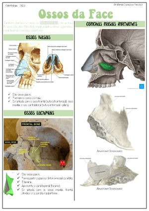 Questoes Anatomia - ATIVIDADE OSTEOLOGIA DO CR¬NIO 1- O crânio constitui o esqueleto da face e ...