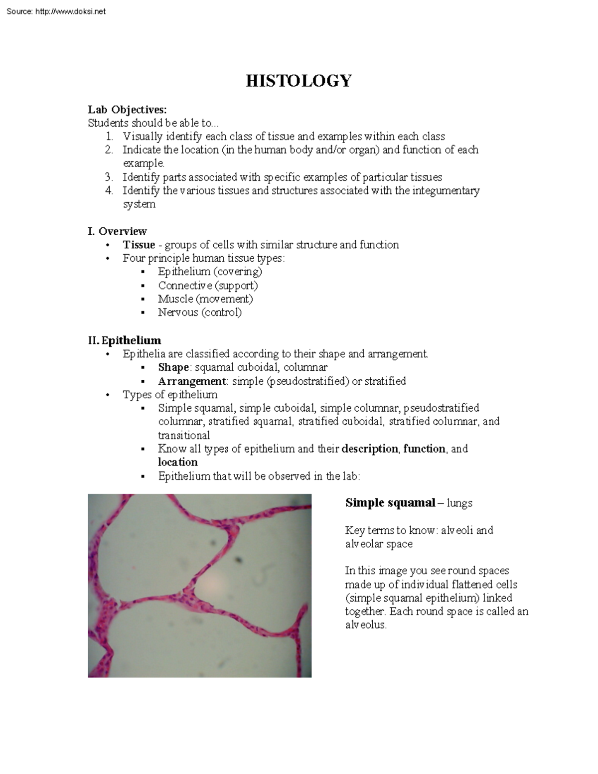 Histology - HISTOLOGY Lab Objectives: Students should be able to... 1 ...