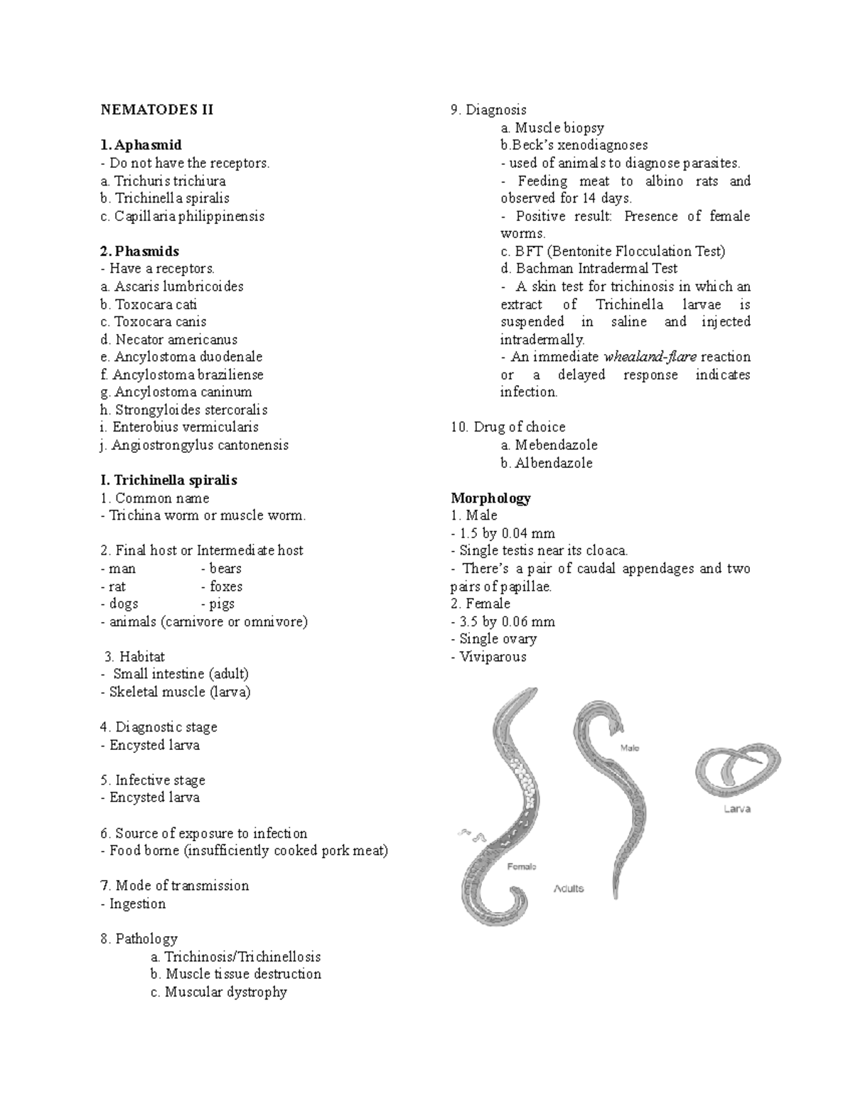 Nematodes II - NEMATODES II Aphasmid Do not have the receptors. a ...