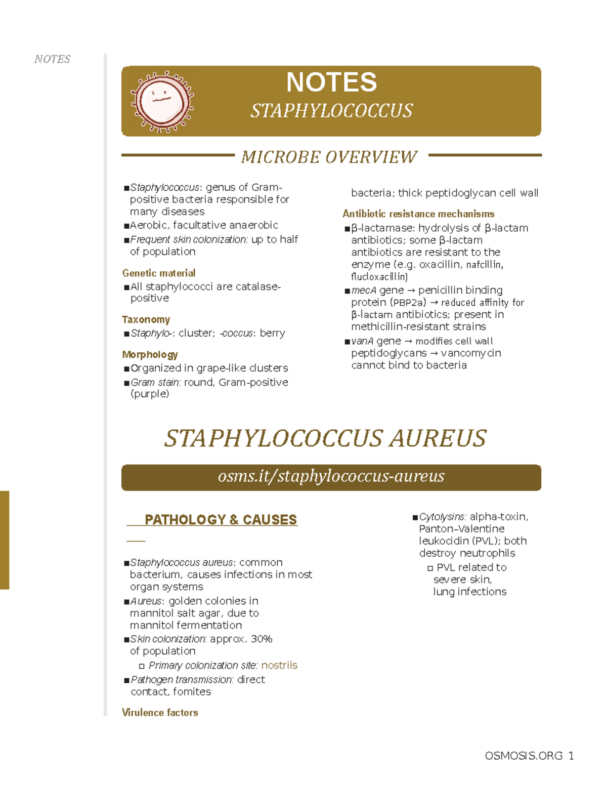 Staphylococcus - Tugas - ####### OSMOSIS 1 NOTES STAPHYLOCOCCUS osms ...