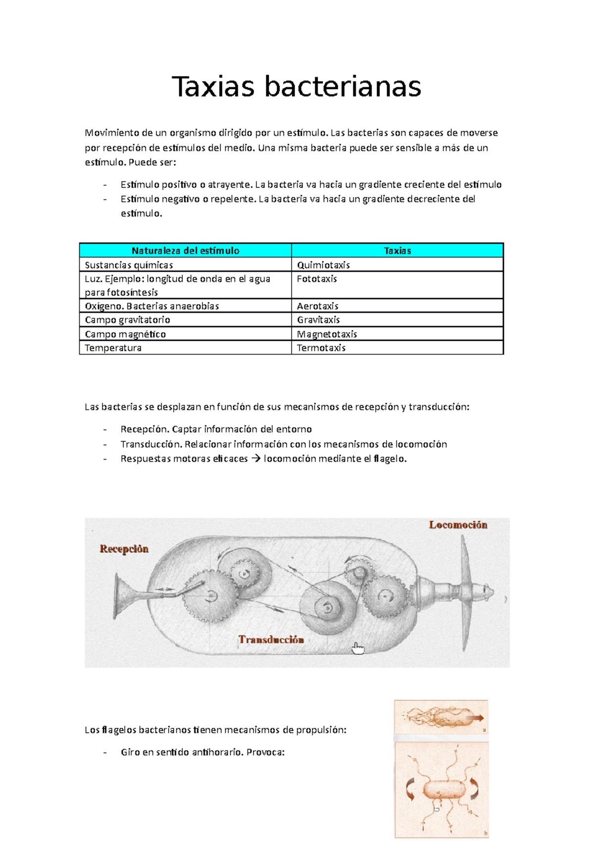 Quimiotaxis bacteriana - Taxias bacterianas Movimiento de un organismo ...