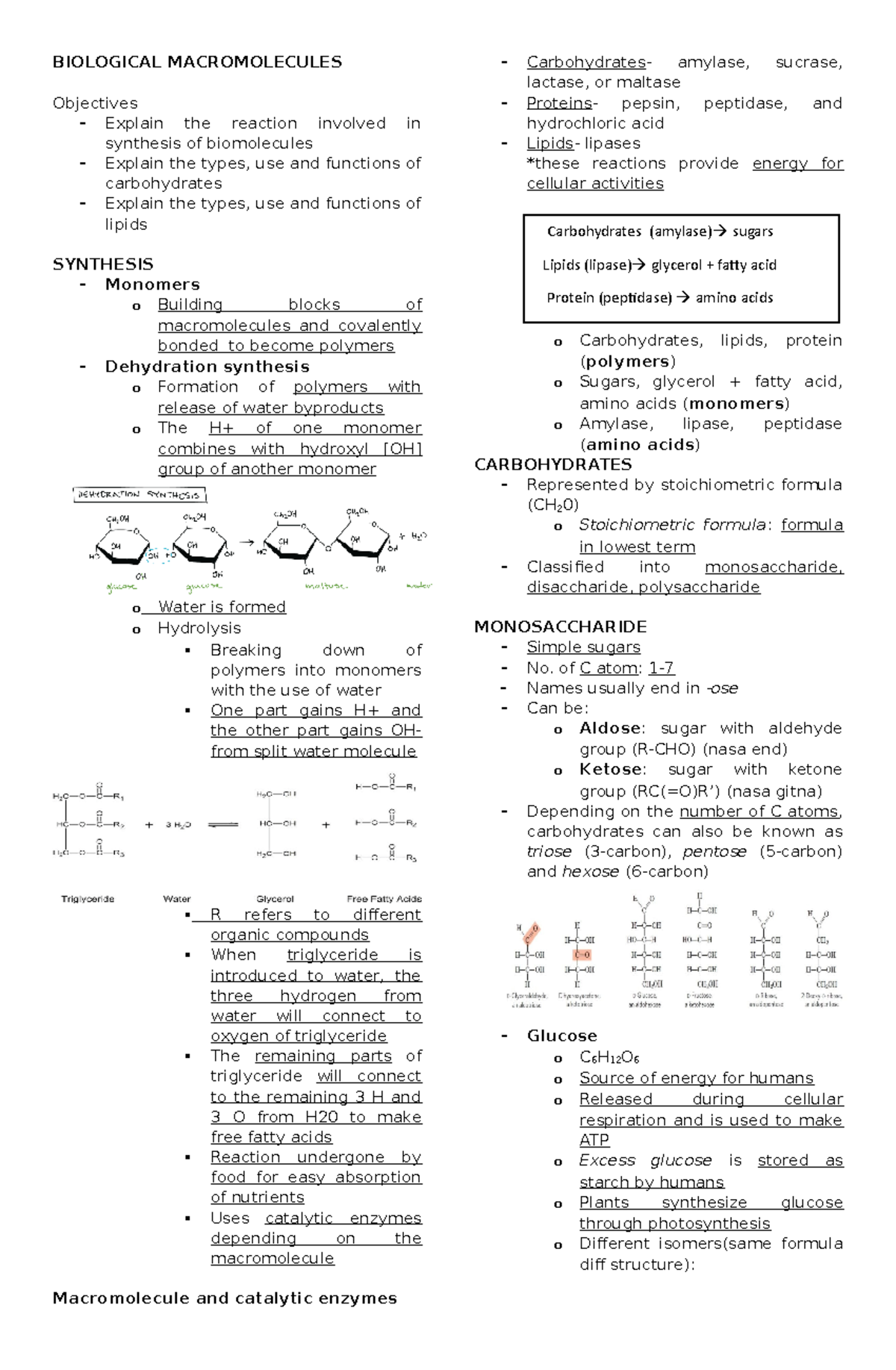 Biological Macromolecules - BIOLOGICAL MACROMOLECULES Objectives ...