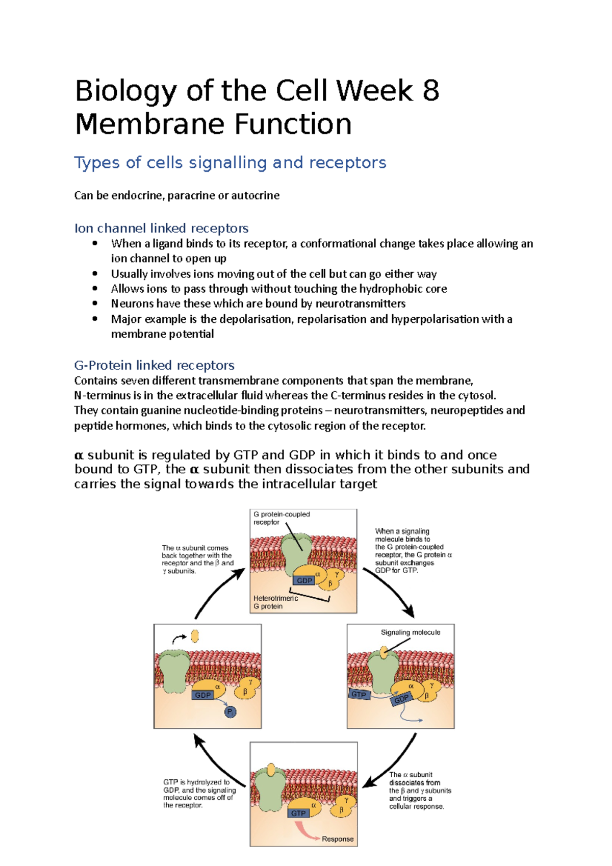 Biology of the Cell Week 8 Membrane Function - They contain guanine ...