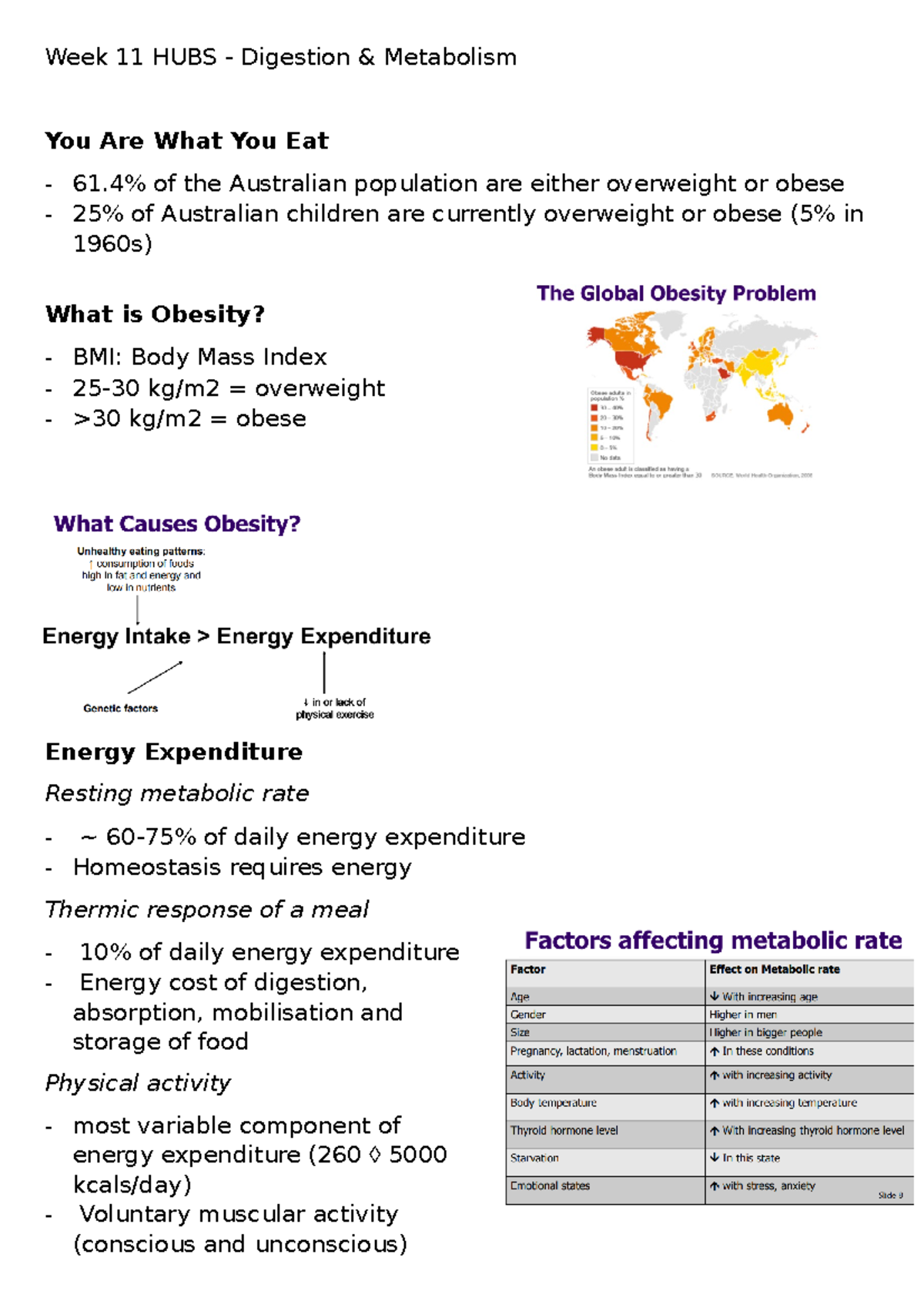 HUBS1406 Week 11 Digestion & Metabolism - Week 11 HUBS - Digestion ...