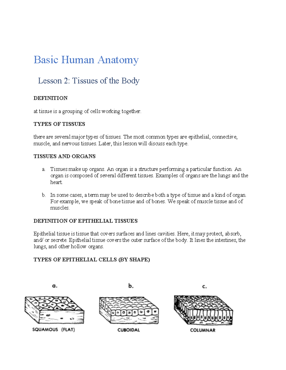 Basic Human Anatomy 2 Basic Human Anatomy Lesson 2 Tissues Of The
