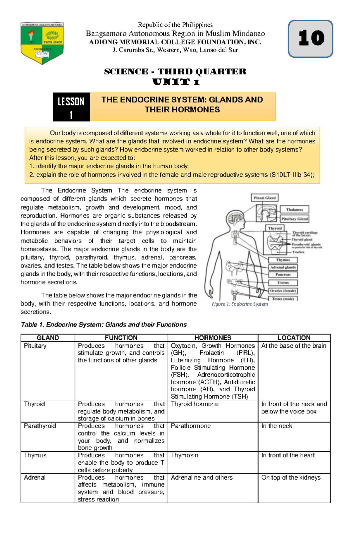 Science 10 UNIT 1 - Endocrine system - 10 Republic of the Philippines ...