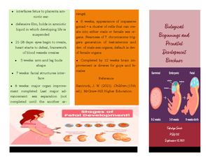Prenatal devlopement brochure - Scenario 1: A couple is expecting a ...