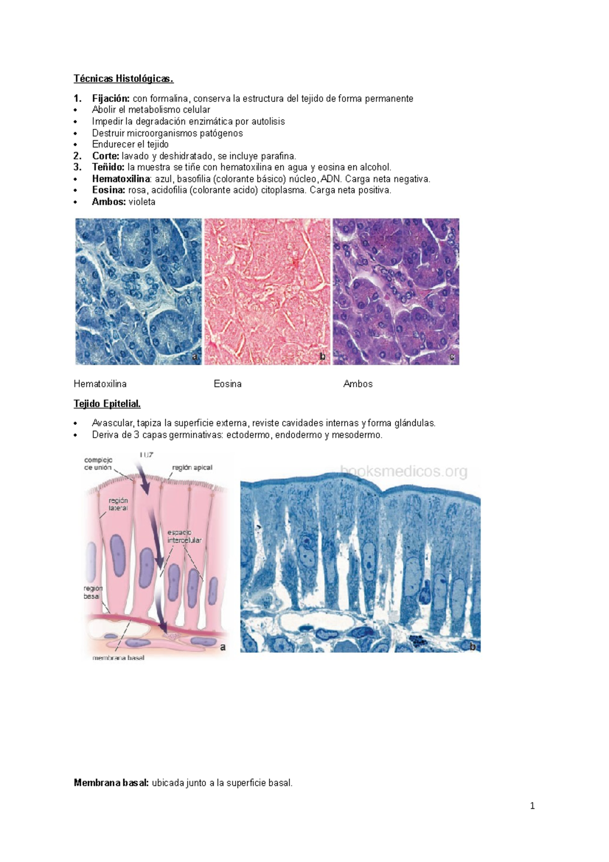 Resumen Histología - Técnicas Histológicas. 1. Fijación: con formalina ...