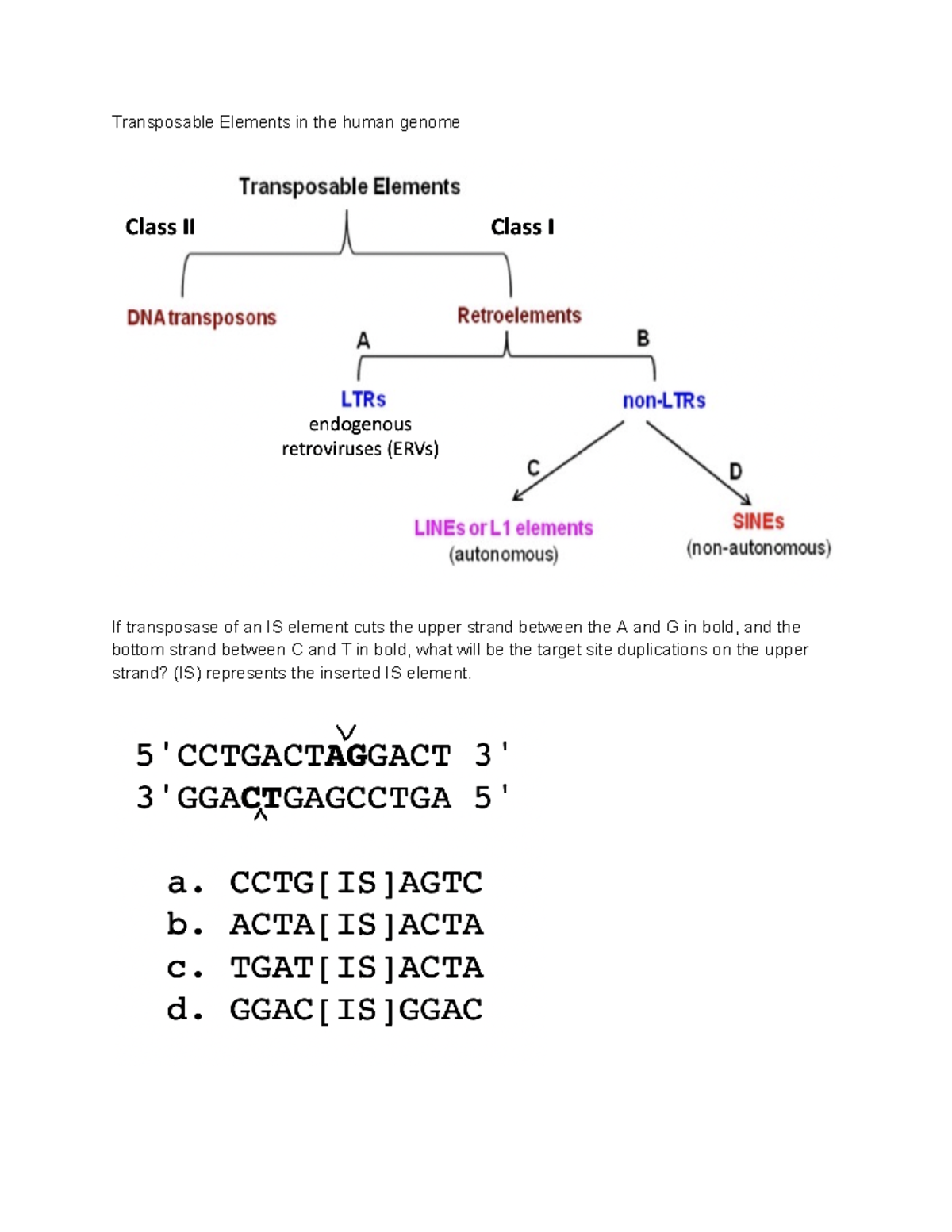 Transposable Elements Part 1 - Transposable Elements in the human genome If transposase of an IS ...