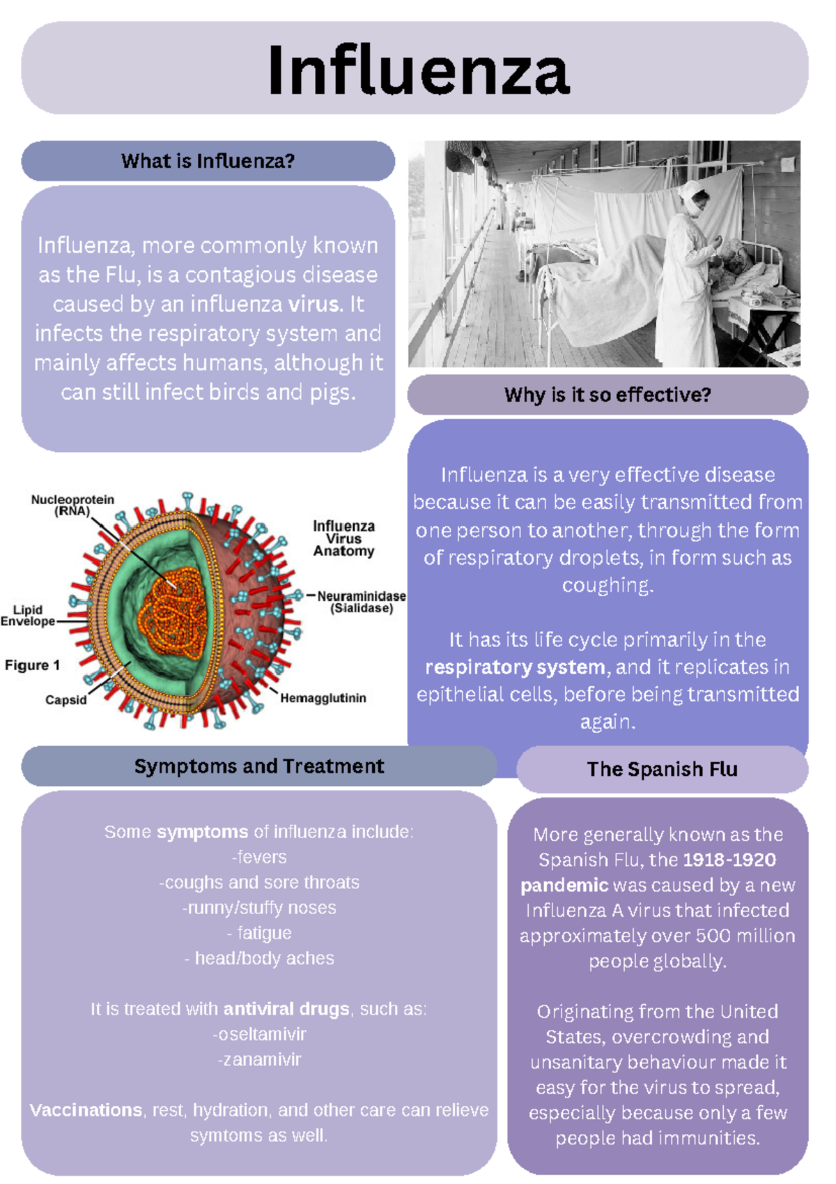 Influenza - poster - Influenza, more commonly known as the Flu, is a ...