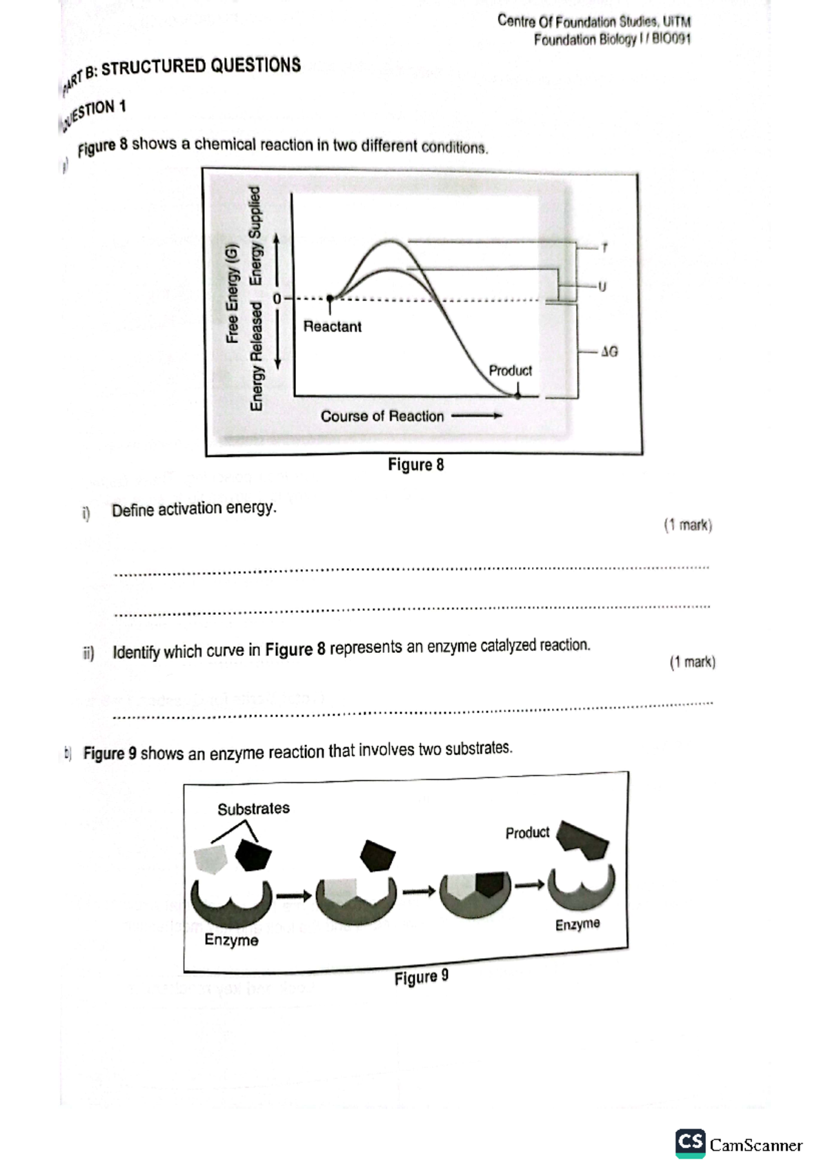 Biology Chapter 4 - FOR REFERENCE - Applied Sciences - Studocu