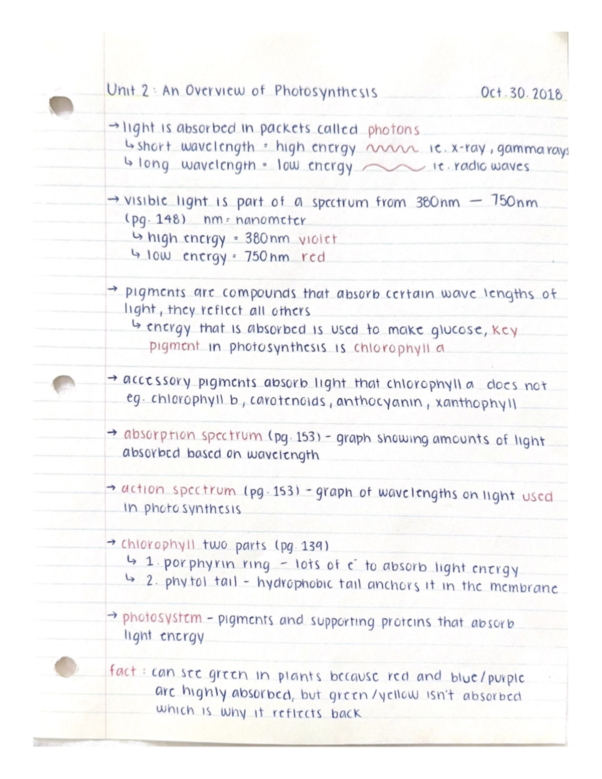 Photosynthesis - Notes - Studocu