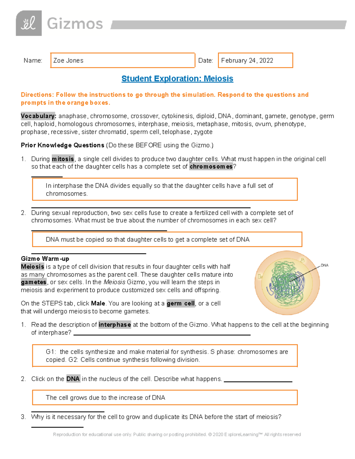 ZOE Jones - Meiosis Virtual Lab Assignment - 5235332 - Name: Zoe Jones ...