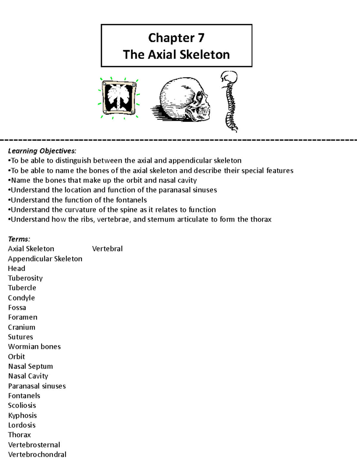 Chapter 7 - Chapter 7 The Axial Skeleton Learning Objectives: To be ...