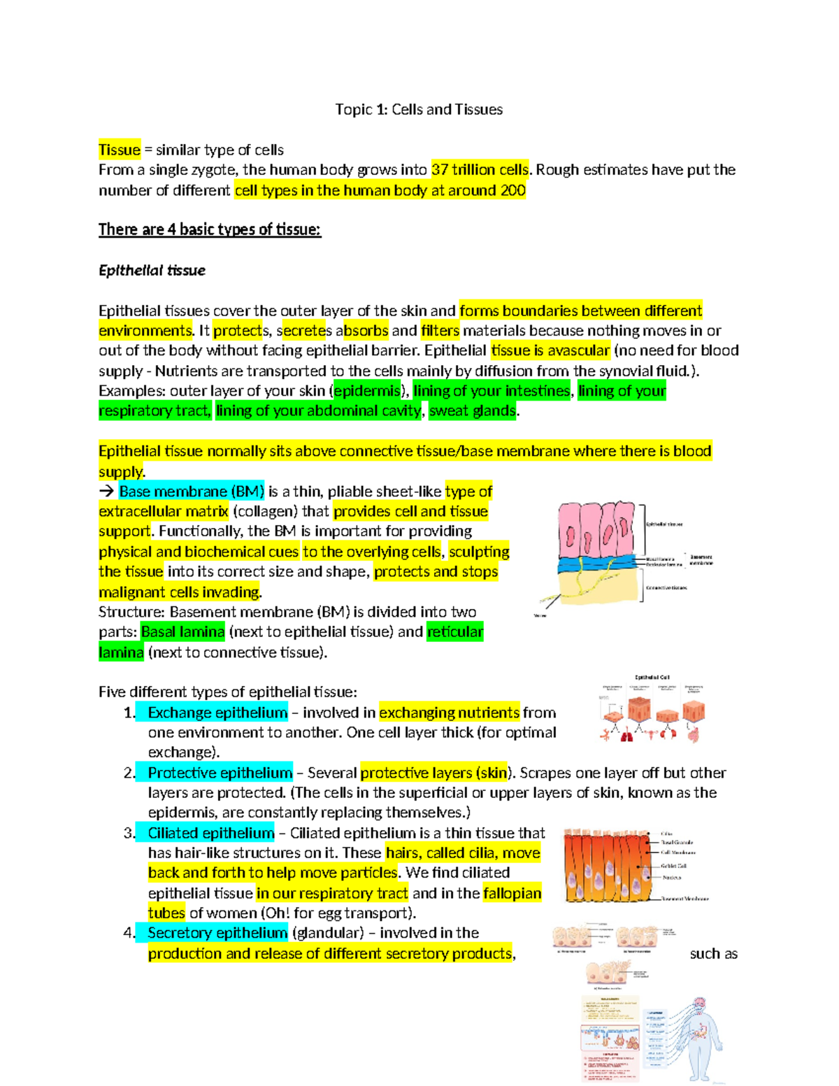 Cells Tissues & Regulation Topic 1 - Topic 1: Cells and Tissues Tissue ...