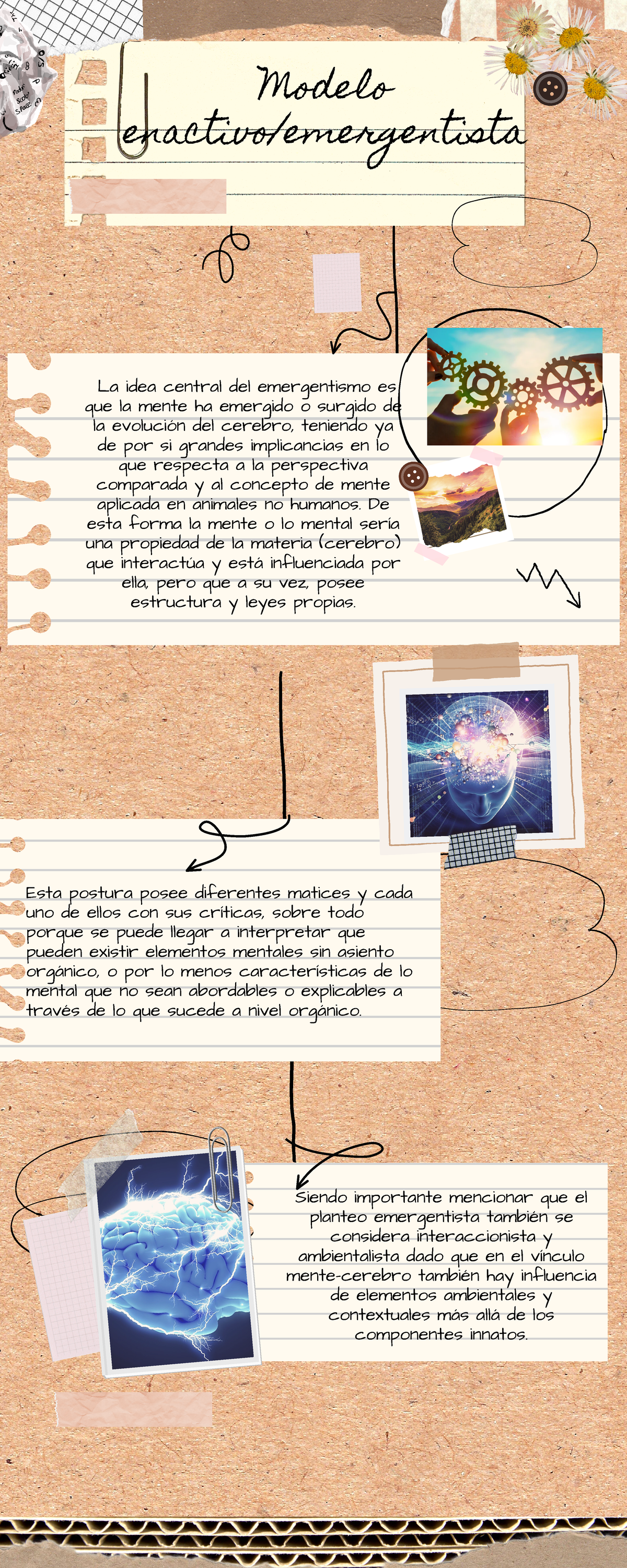 Infografia 3 - dasdasd - Siendo importante mencionar que el planteo ...