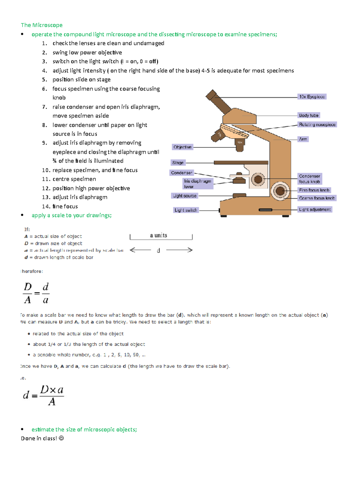 Biol1003 Learning Outcomes - The Microscope operate the compound light ...