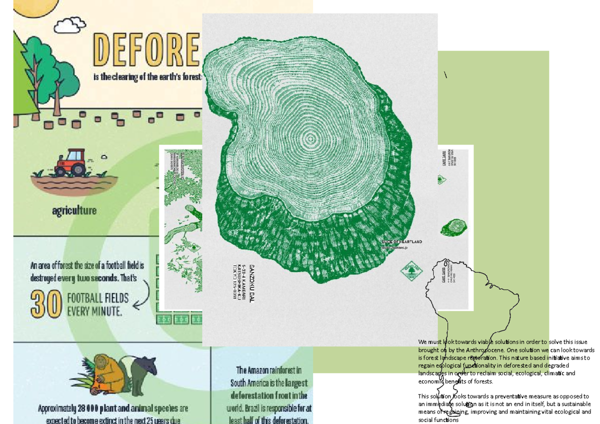 Deforestation - Assignment on deforstation - \ We must look towards ...