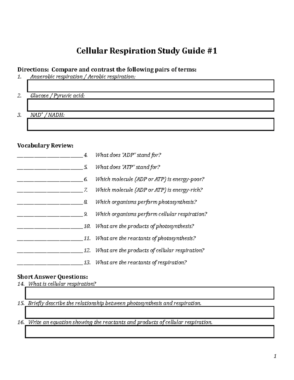 Tyler martin - Cellular Respiration chapter study guide - Cellular ...