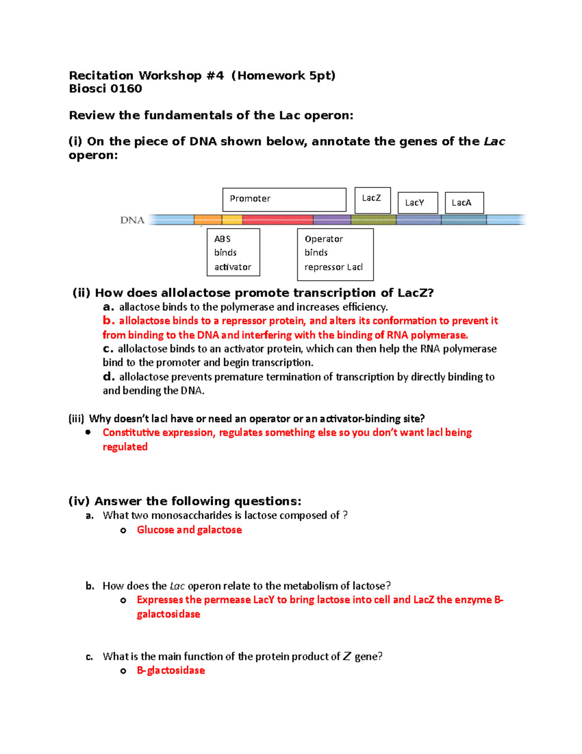 Lac Operon Assignment - Recitation Workshop #4 (Homework 5pt) Biosci 0160 Review the ...