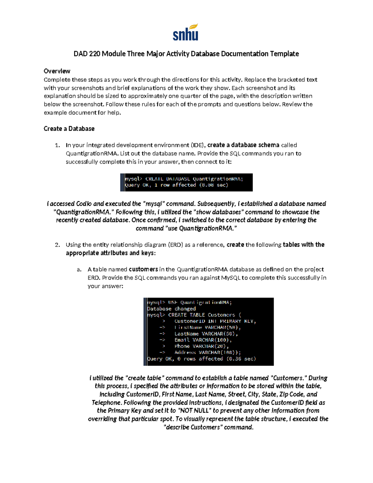 Dad 220 Module Three Major Activity Database Documentation Template Replace The Bracketed Text