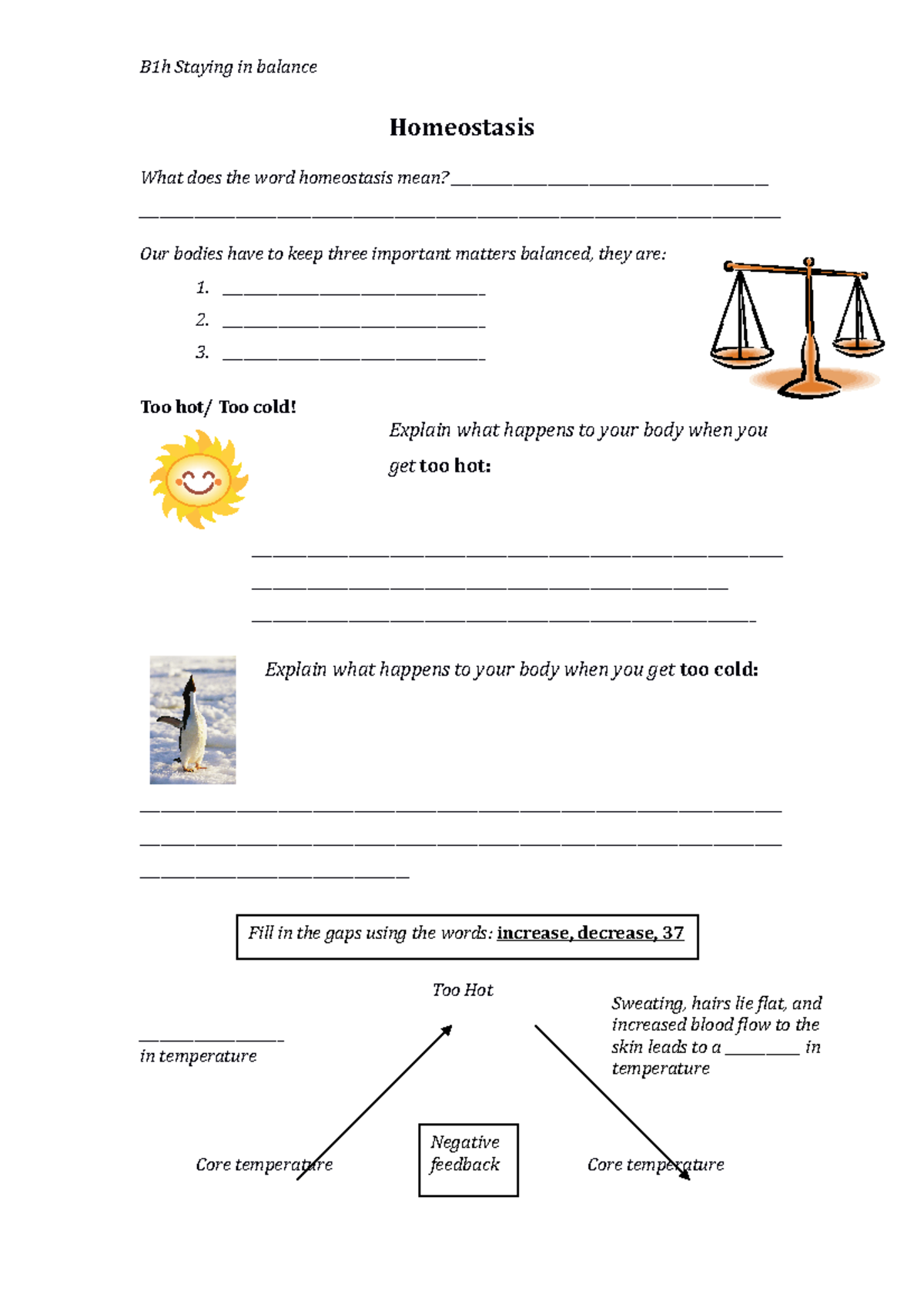 Homeostasis ws - Homeostasis What does the word homeostasis mean? - Studocu