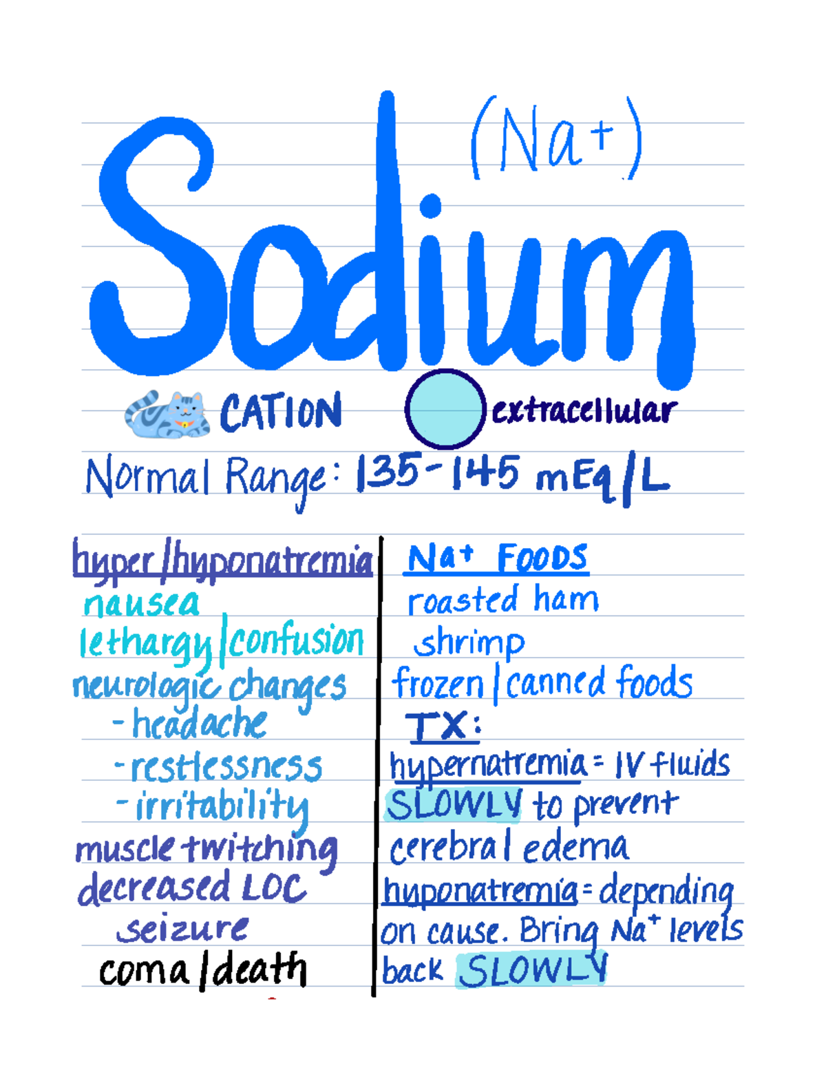 Electrolytes - Sodium CATION Normal Range 135 145 meg L hyper ...