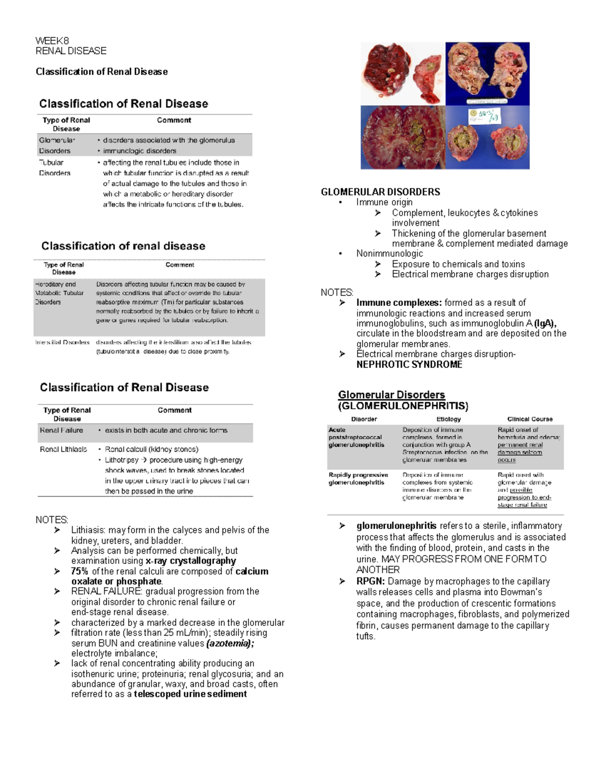 Week 8: Renal Diseases - WEEK 8 RENAL DISEASE Classification of Renal ...